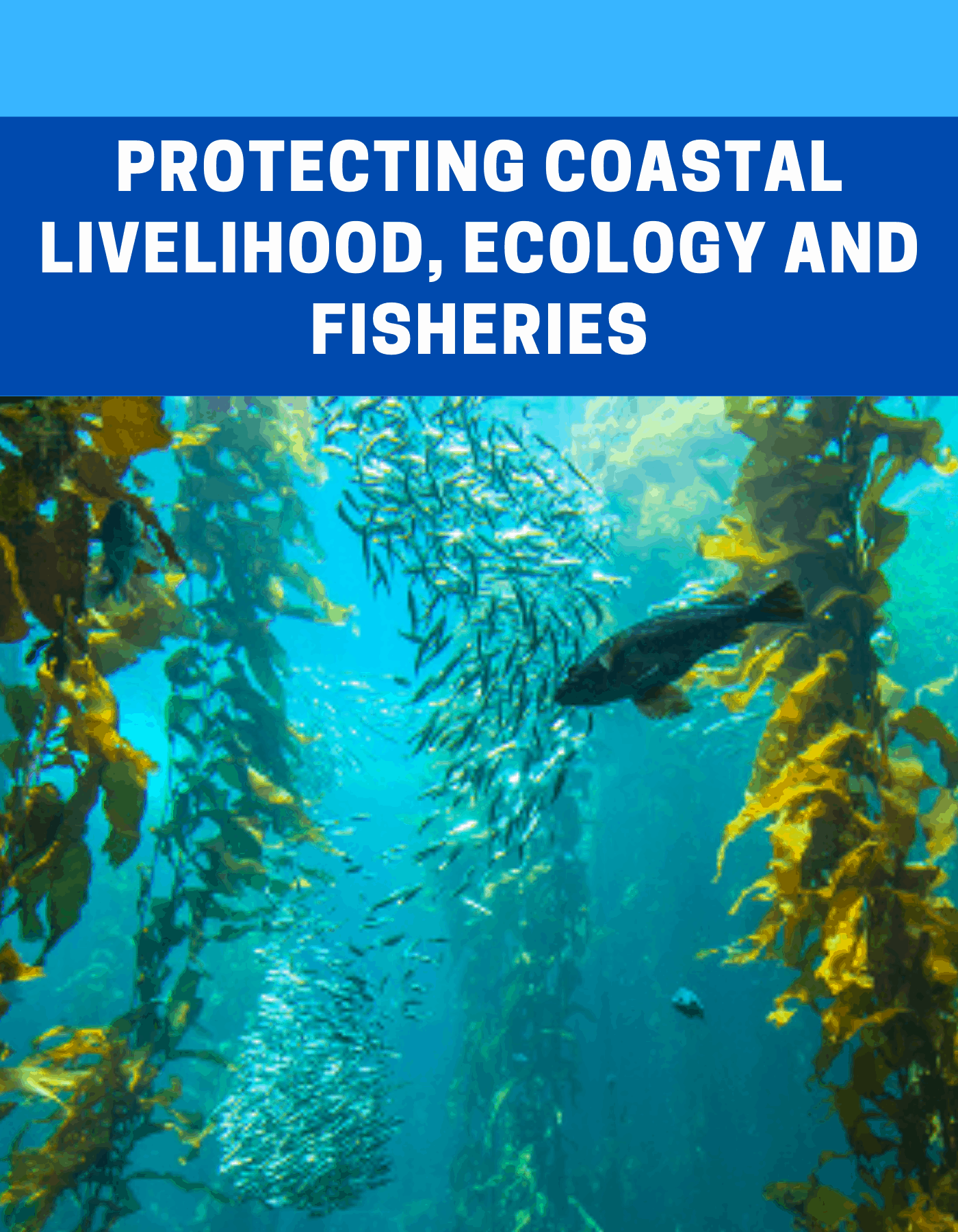 Protecting Coastal Livelihood, Ecology and Fisheries – Human Rights ...